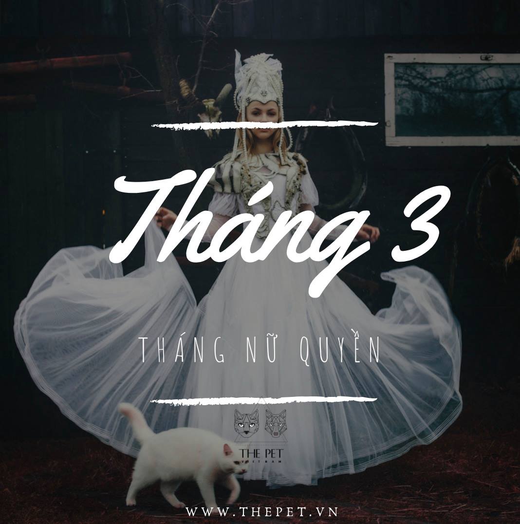 Con gái và... Con mèo