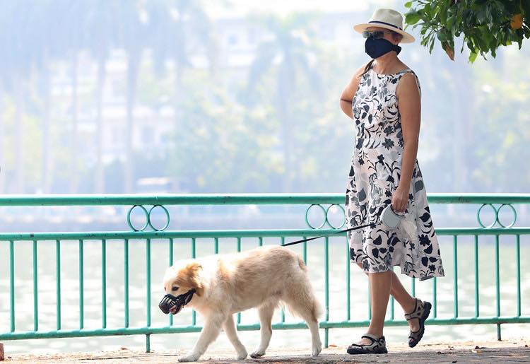 ĐỪNG COI THƯỜNG ẢNH HƯỞNG CỦA KHÔNG KHÍ Ô NHIỄM ĐẾN CHÓ MÈO