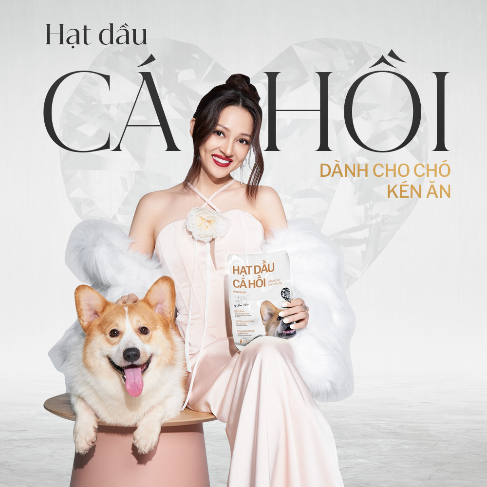 Thức ăn cho chó: Và những điều Sen cần biết