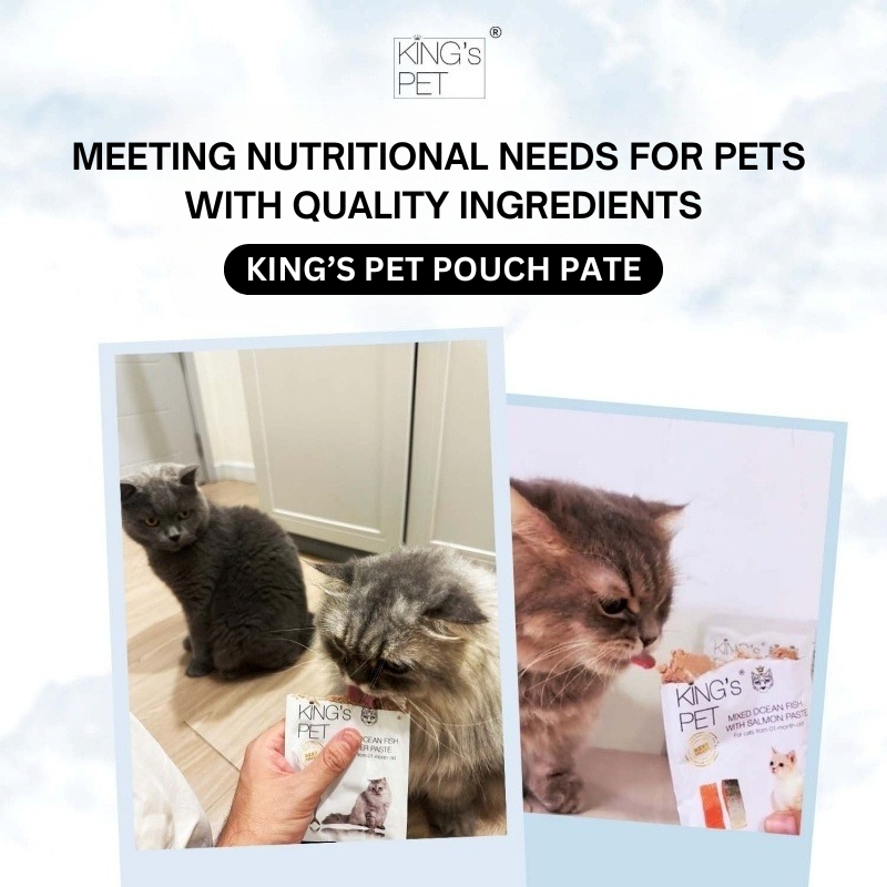 King's Pet Cat Food: Meeting nutritional needs for your pet