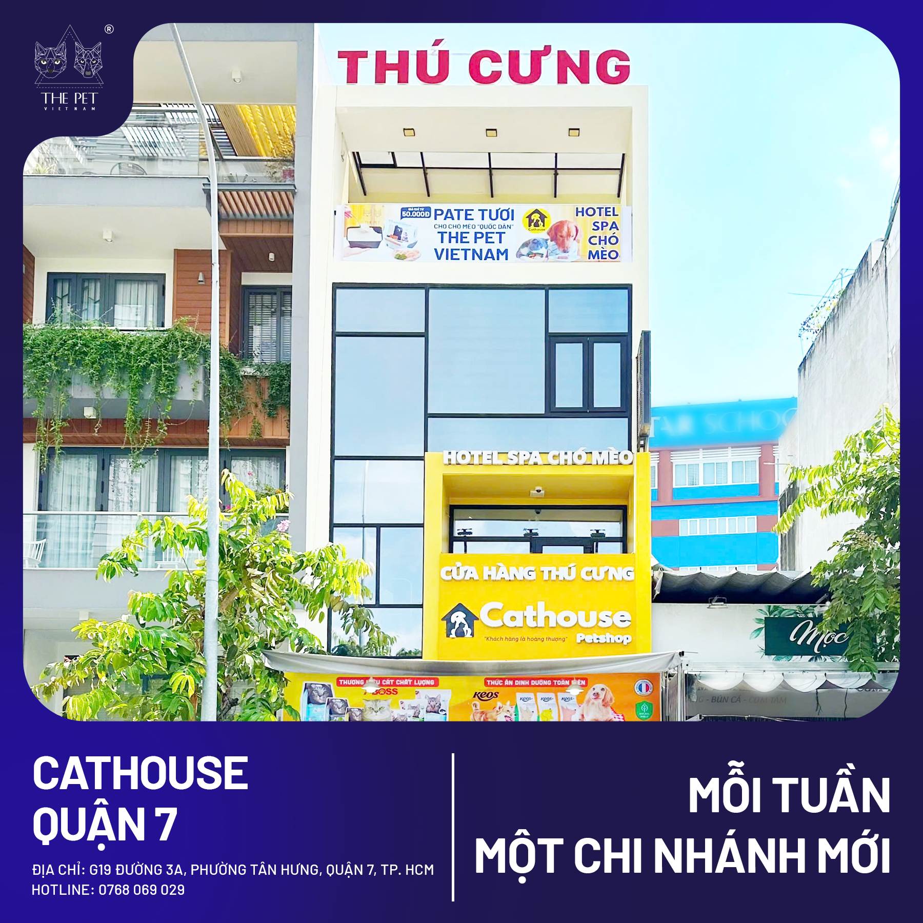 CHUYÊN MỤC MỖI TUẦN MỘT CHI NHÁNH MỚI gọi tên CATHOUSE HIMLAM QUẬN 7 ...