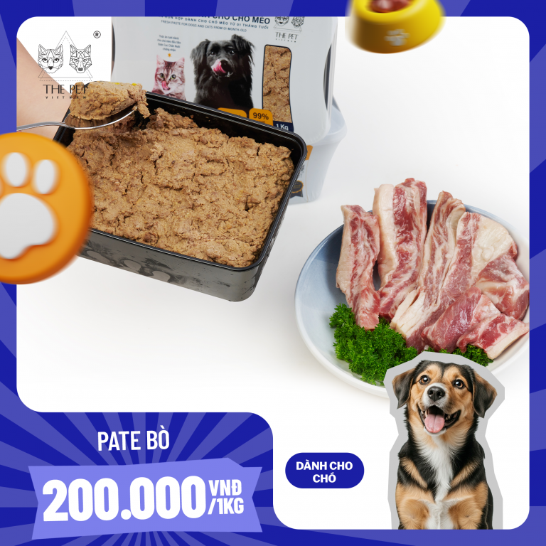 Top 5 Lợi Ích Của Thịt Bò Dành Cho Chó Cưng